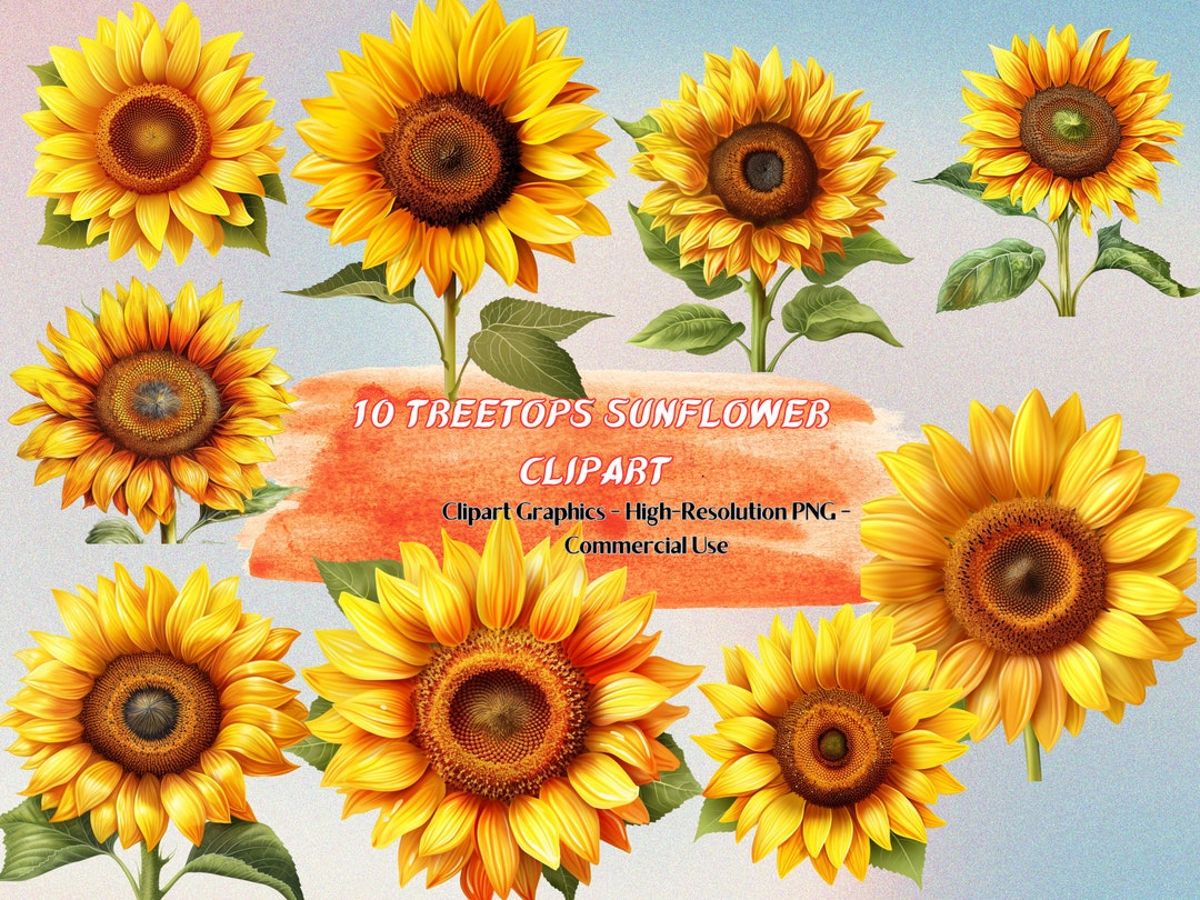 10 Treetops Sunflower Png, Sunflower Png, Sunflower Png Sublimation ...