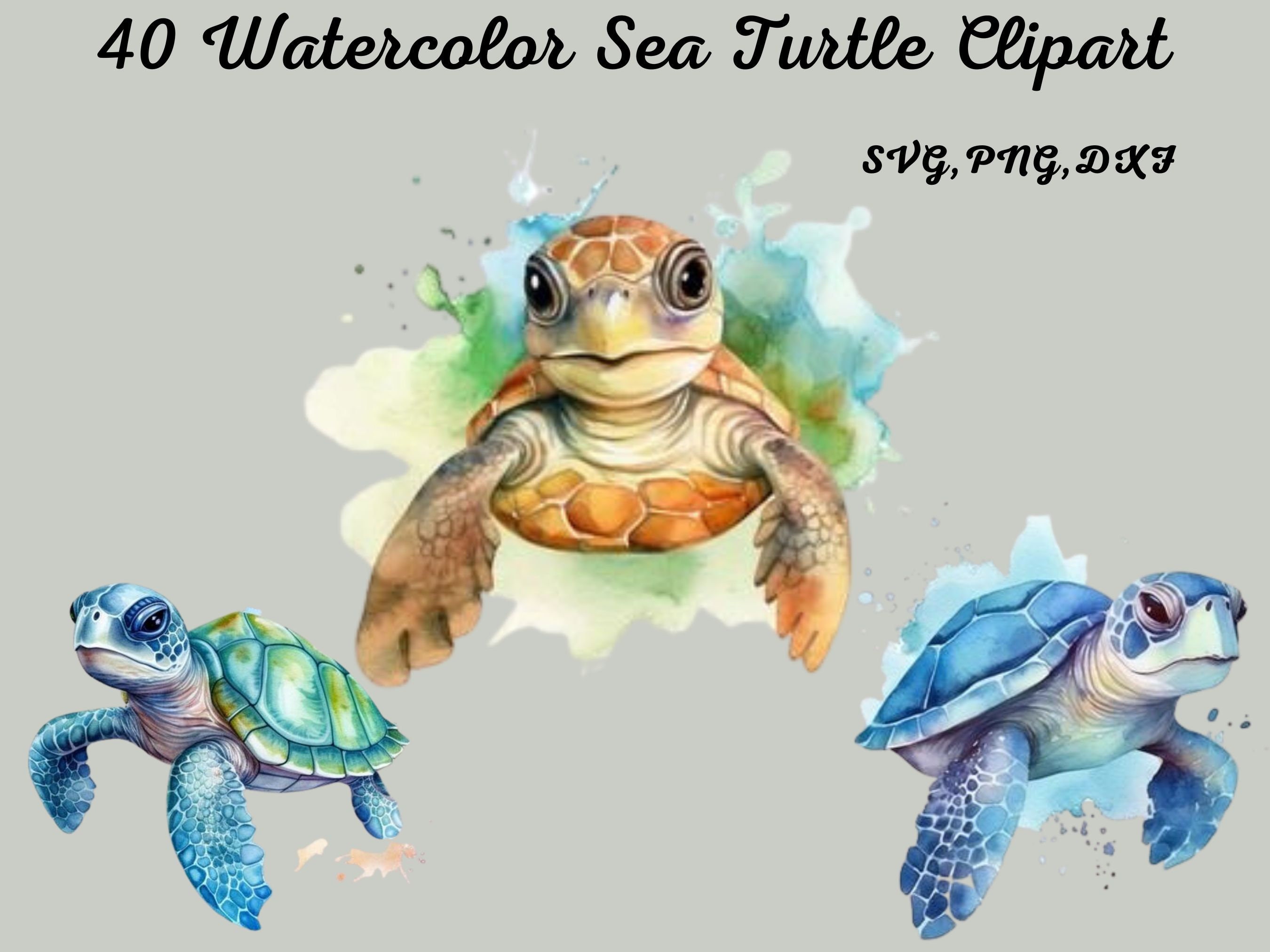 40 Watercolor Sea Turtle Clipart Bundle High-resolution - Etsy
