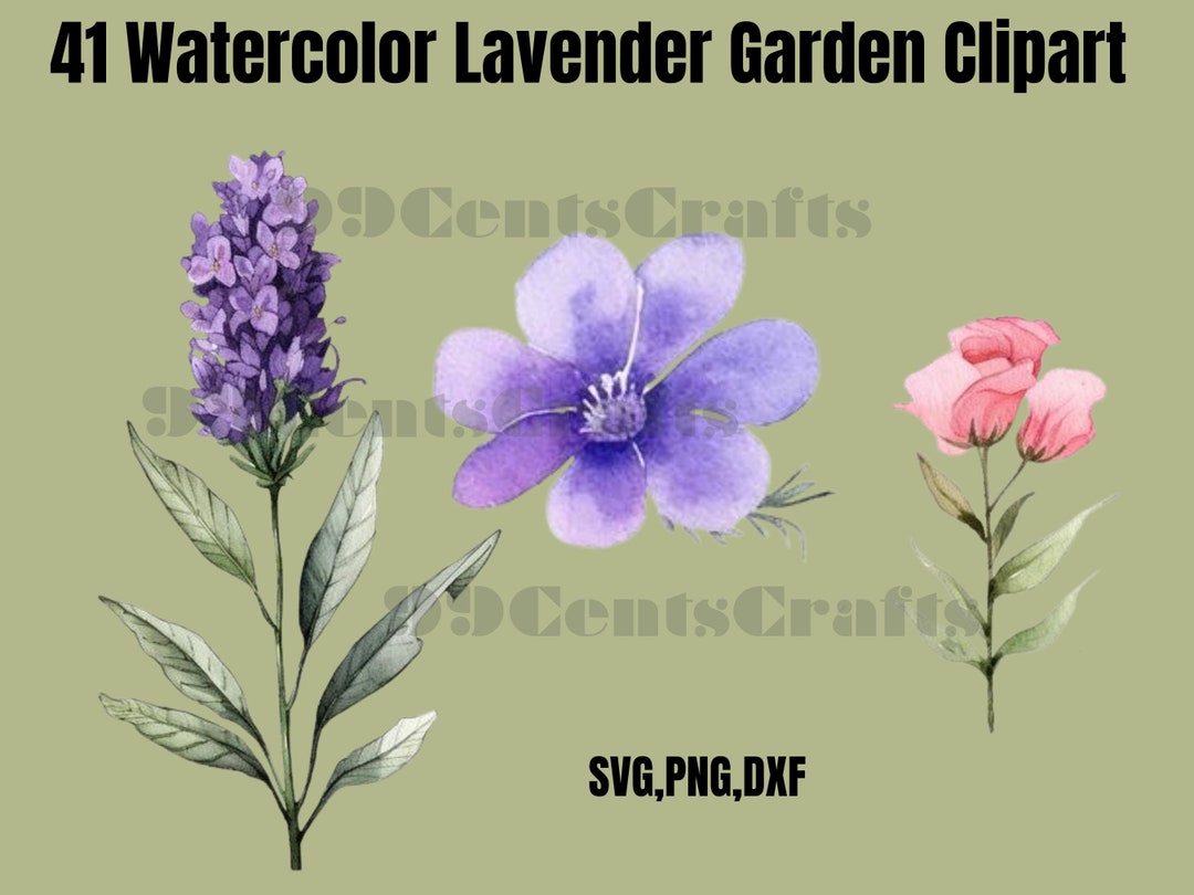 41 Watercolor Lavender Garden Clipart Provence Floral Spring - Etsy