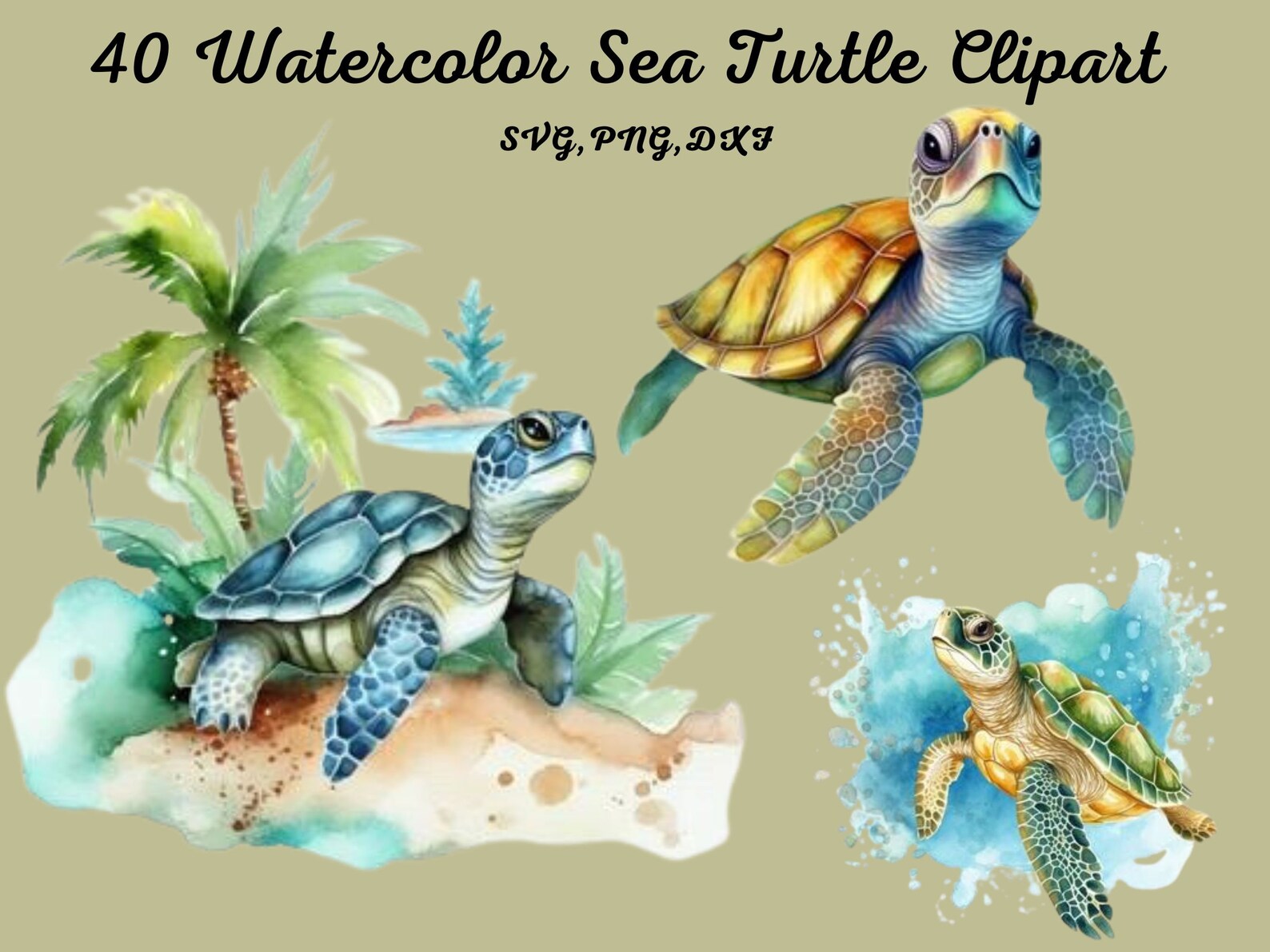40 Watercolor Sea Turtle Clipart Bundle High-resolution - Etsy