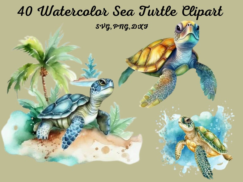 40 Watercolor Sea Turtle Clipart Bundle High-resolution - Etsy