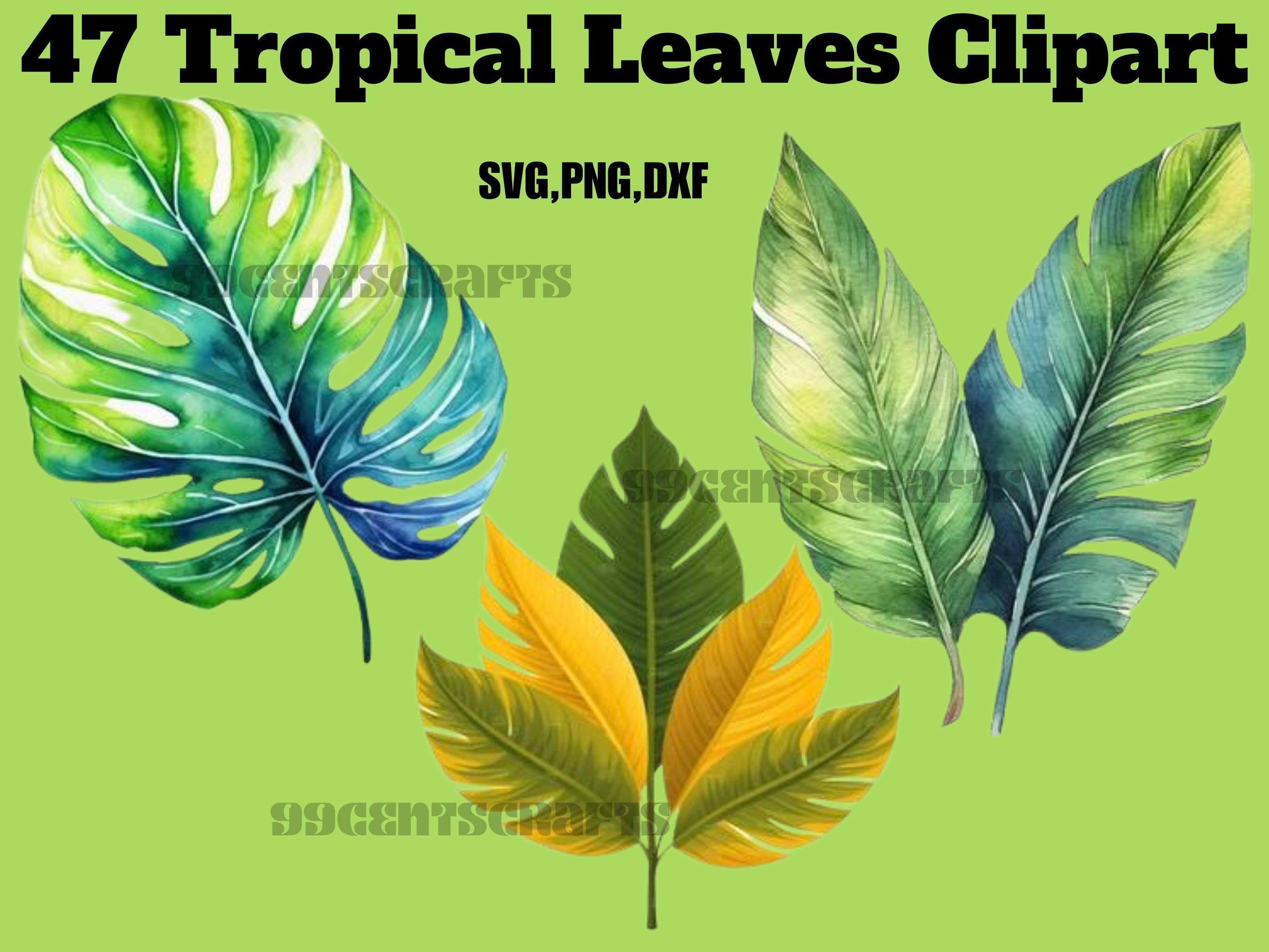 47 Tropical Leaves Clipart Green Leaf's Palm Leaf - Etsy