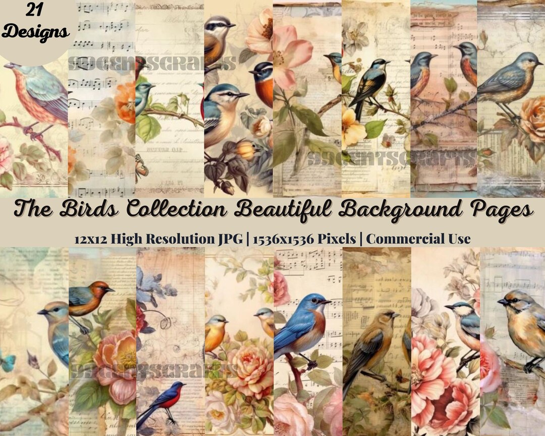 21 Pg the BIRDS COLLECTION Beautiful Background Pages Themed Digital ...