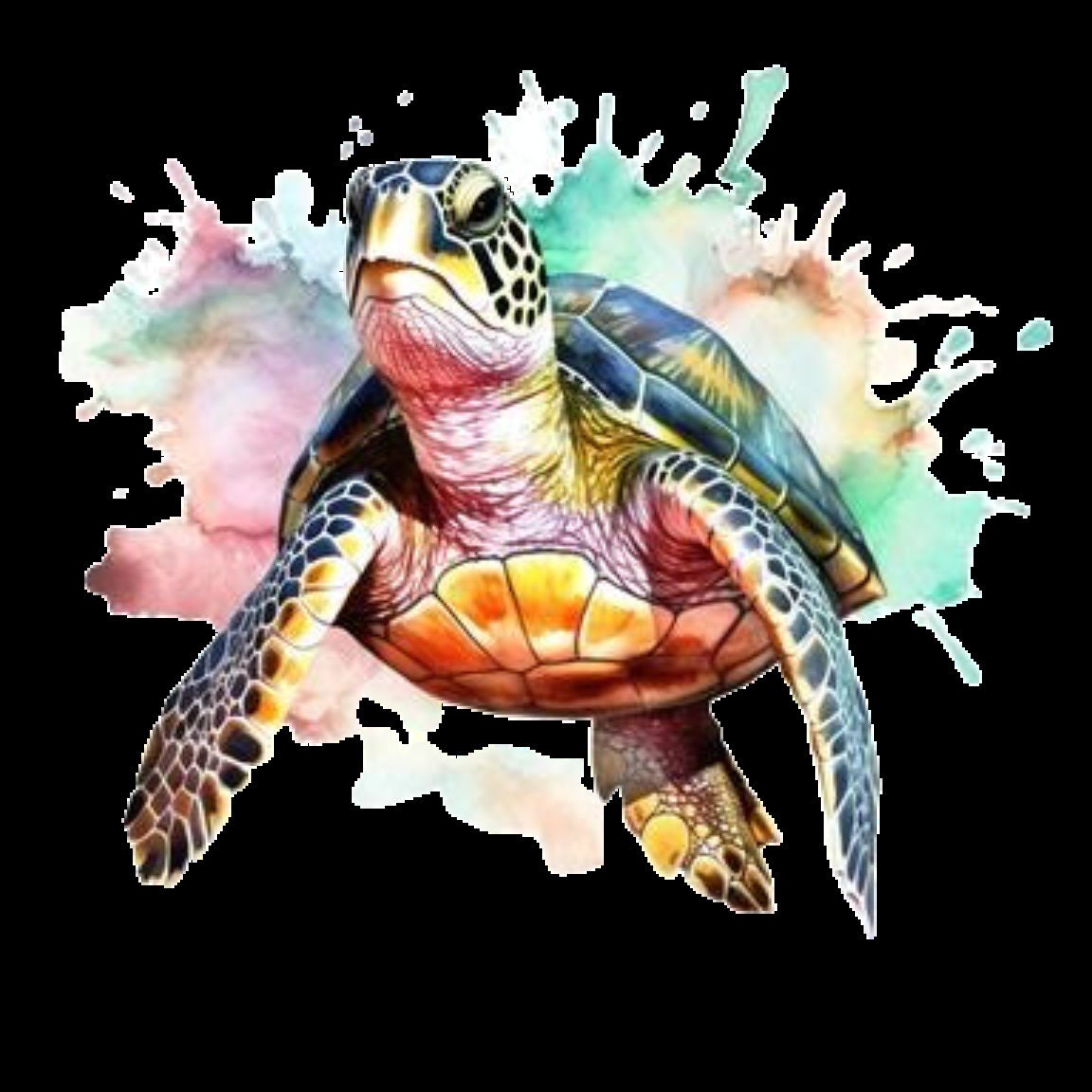 40 Watercolor Sea Turtle Clipart Bundle High-resolution - Etsy