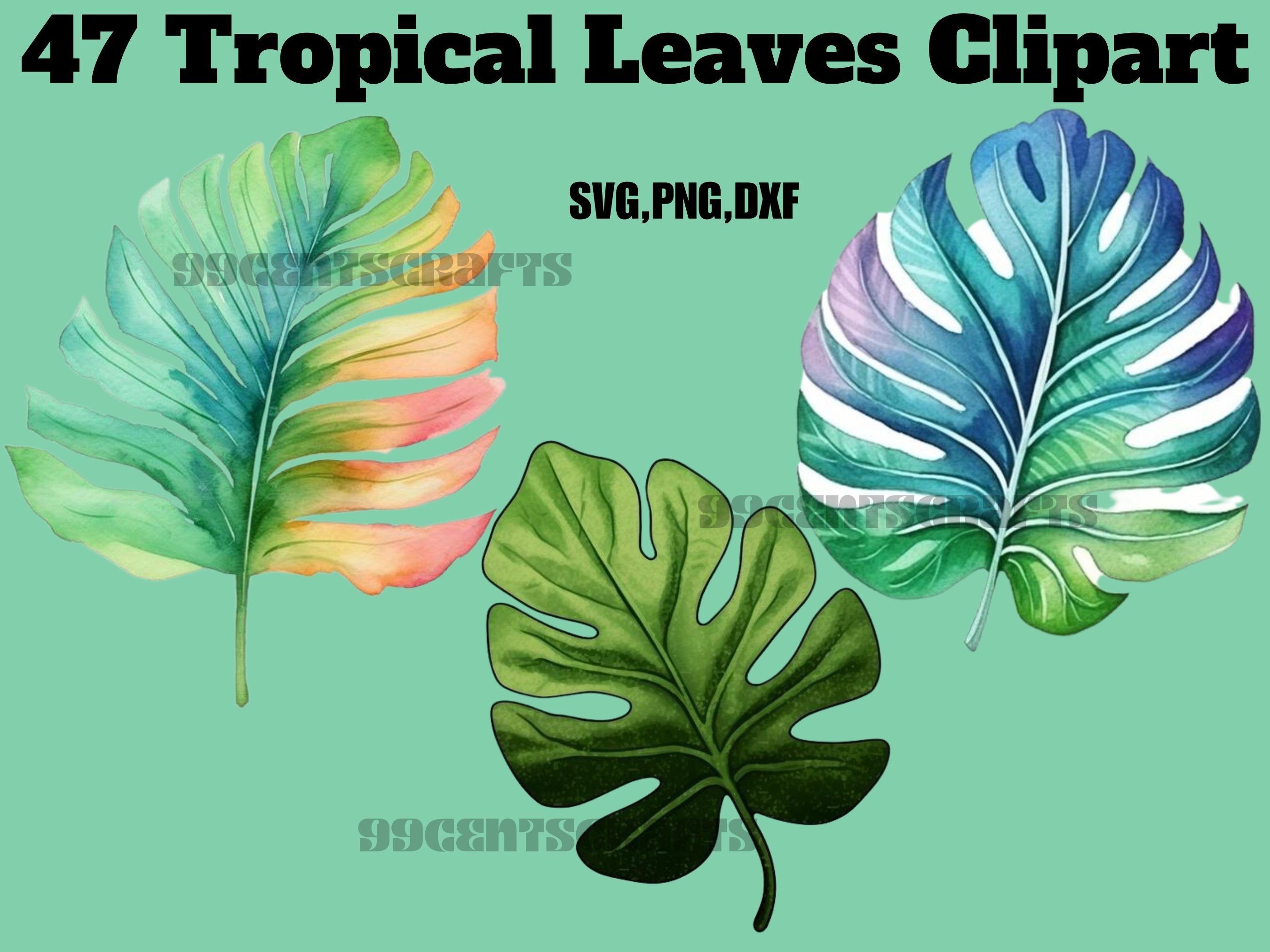 47 Tropical Leaves Clipart Green Leaf's Palm Leaf - Etsy