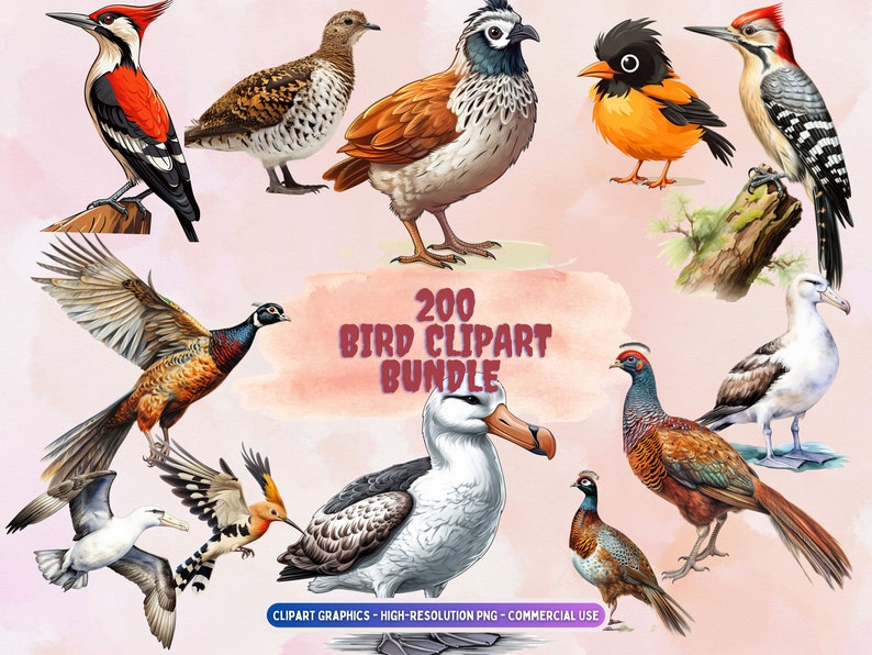 200 Bird Clipart Bundle PNG Images of Birds for Digital Scrapbooking ...