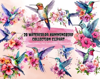 Watercolor Hummingbird Collection Clipart, PNG Pastel Bird Clipart ...