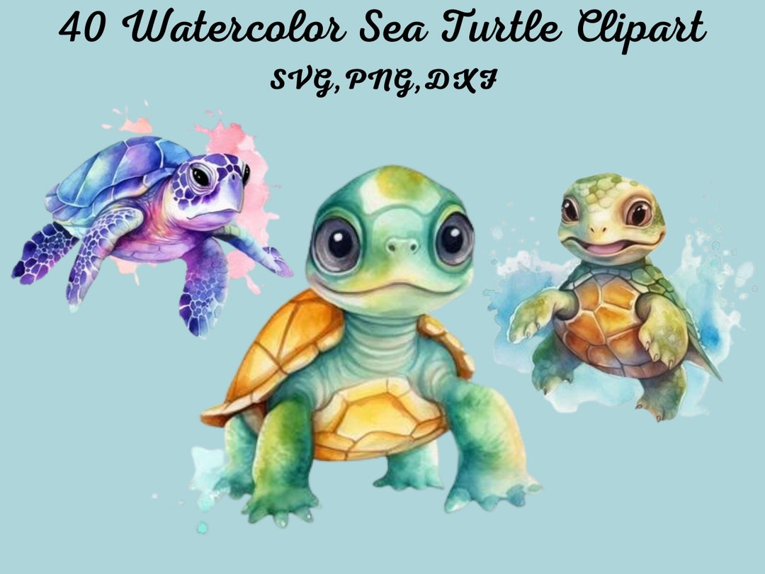 40 Watercolor Sea Turtle Clipart Bundle High-resolution - Etsy