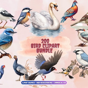 200 Bird Clipart Bundle PNG Images of Birds for Digital Scrapbooking ...