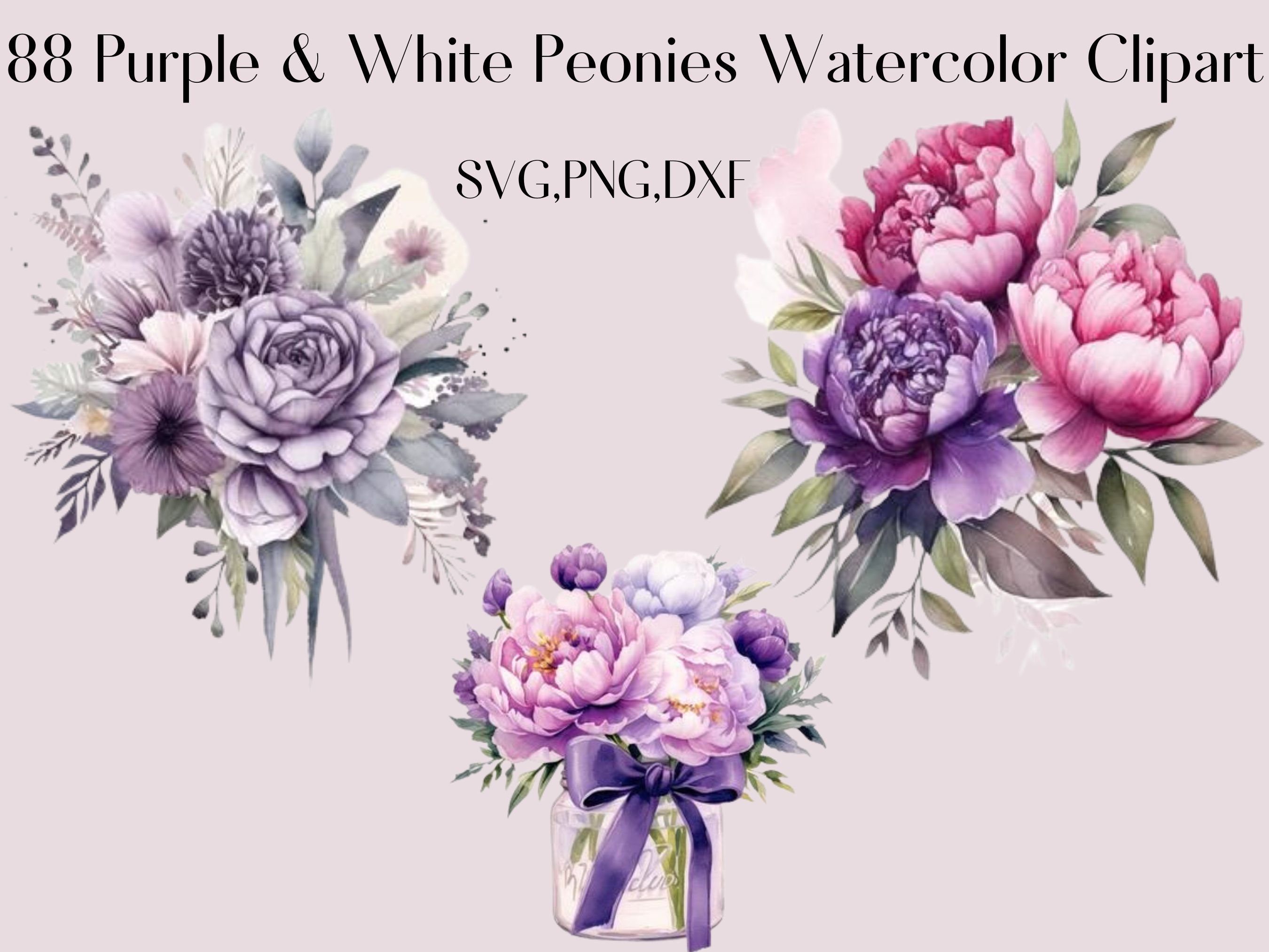88 Purple & White Peonies Watercolor Clipart Floral Clipart - Etsy