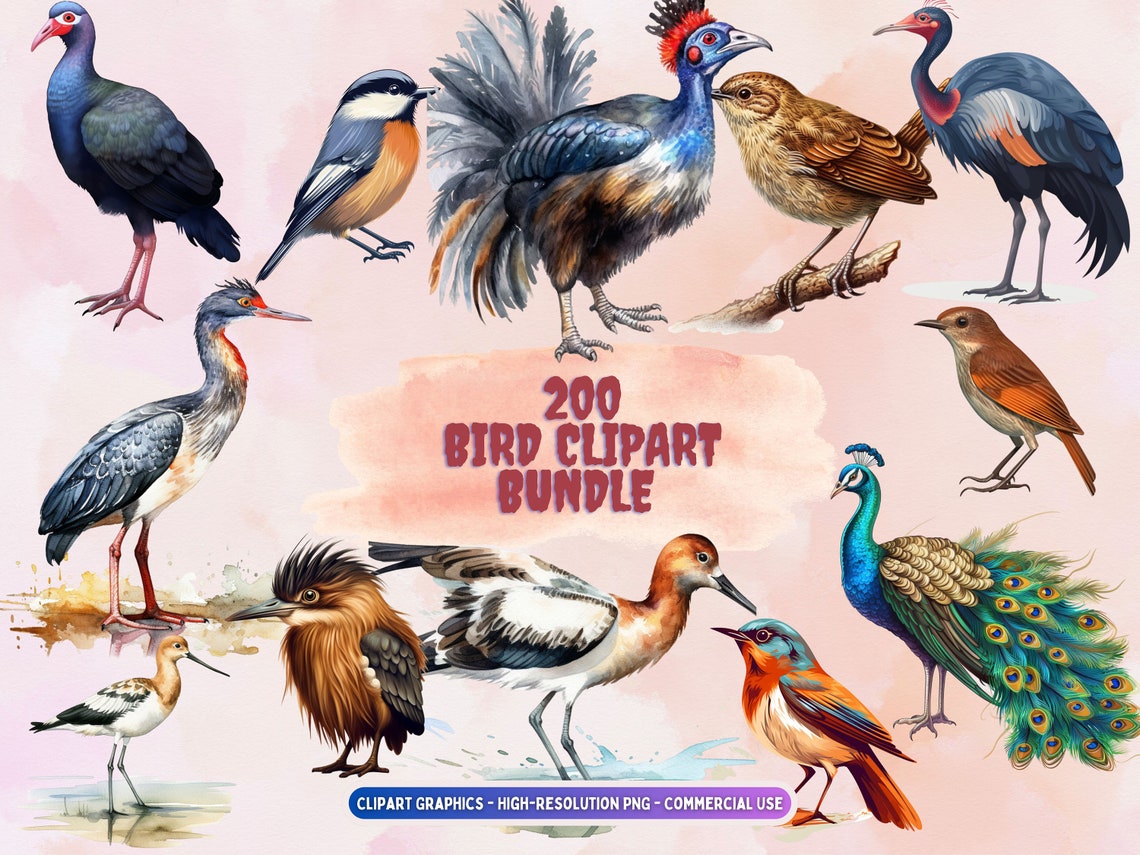 200 Bird Clipart Bundle PNG Images of Birds for Digital Scrapbooking ...
