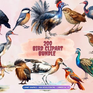 200 Bird Clipart Bundle PNG Images of Birds for Digital Scrapbooking ...
