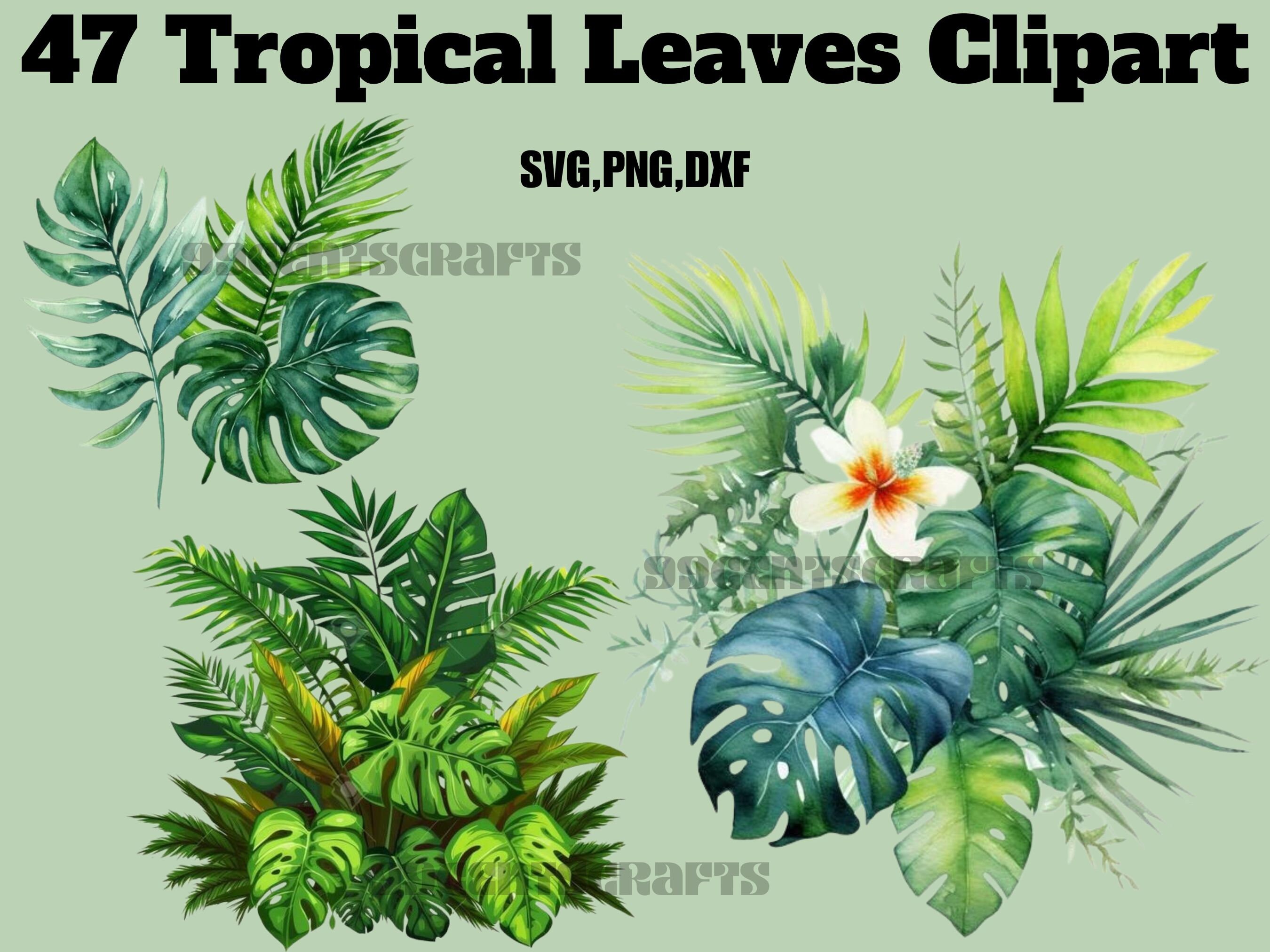 47 Tropical Leaves Clipart Green Leaf's Palm Leaf - Etsy