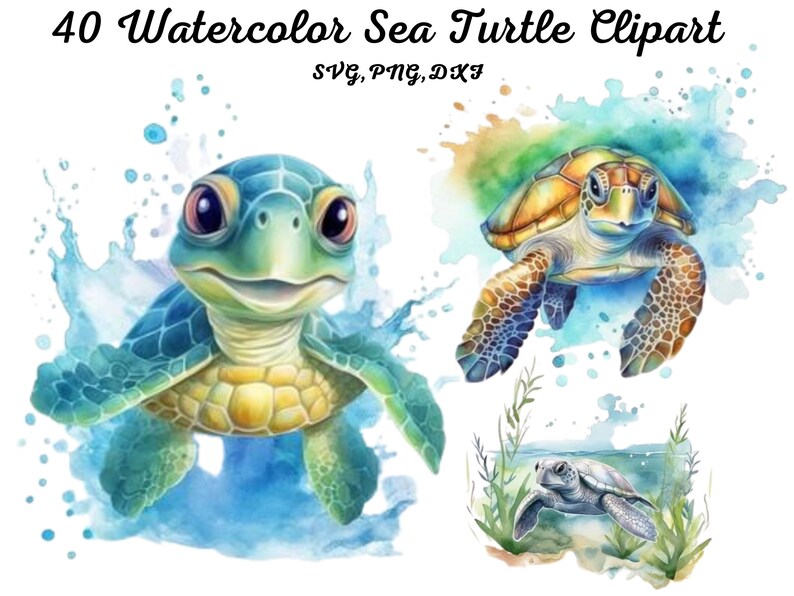40 Watercolor Sea Turtle Clipart Bundle High-resolution - Etsy