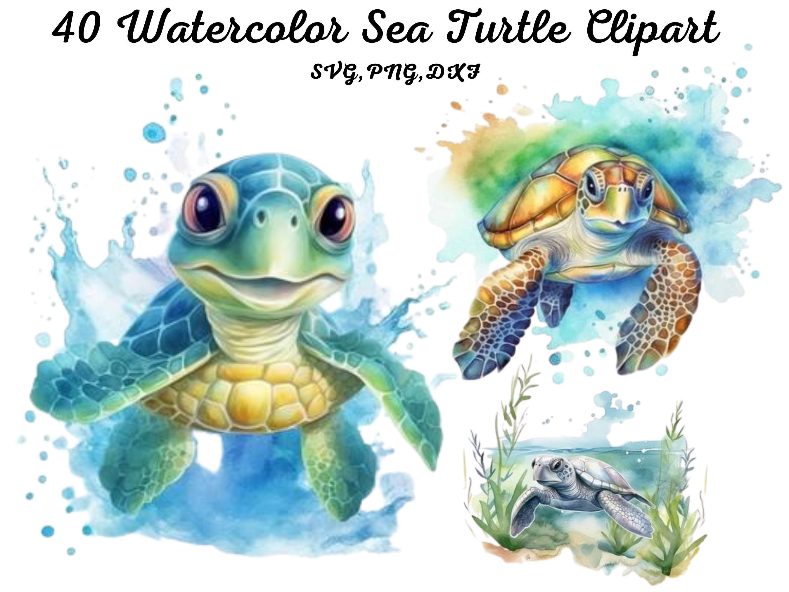 40 Watercolor Sea Turtle Clipart Bundle High-resolution - Etsy