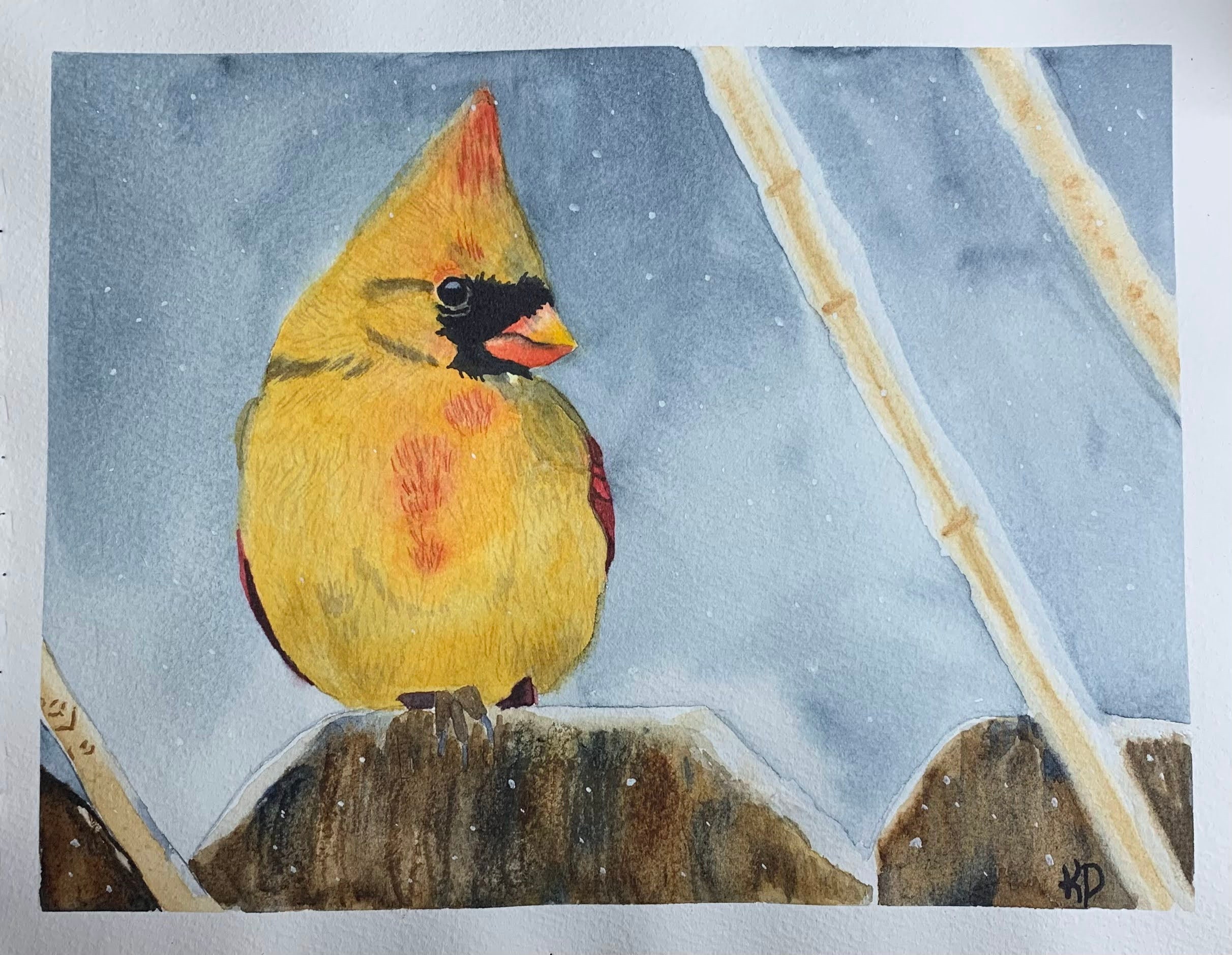 Yellow Northern Cardinal