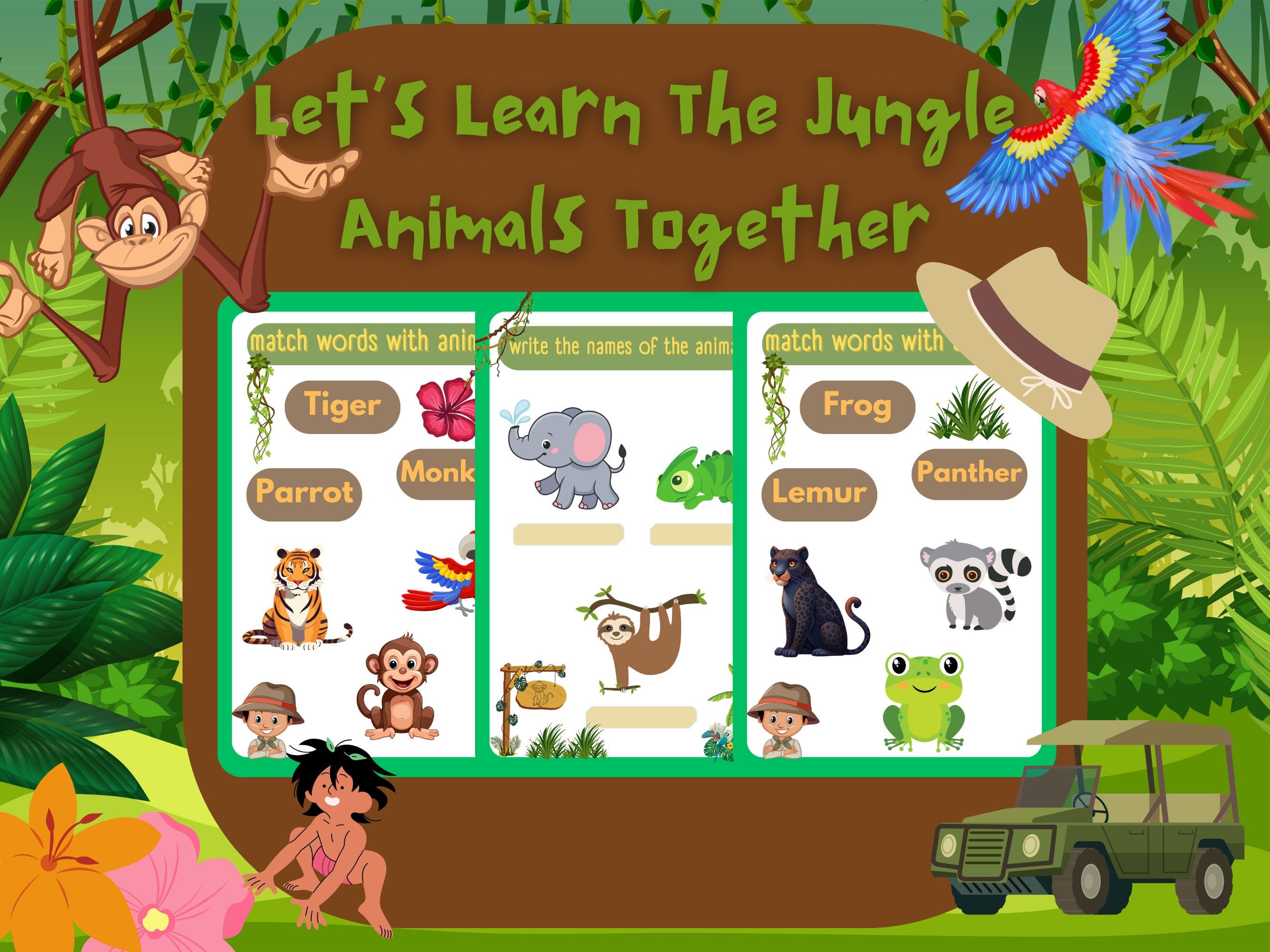 Preschool Jungle Animals Worksheets, Jungle Animated , Match the ...