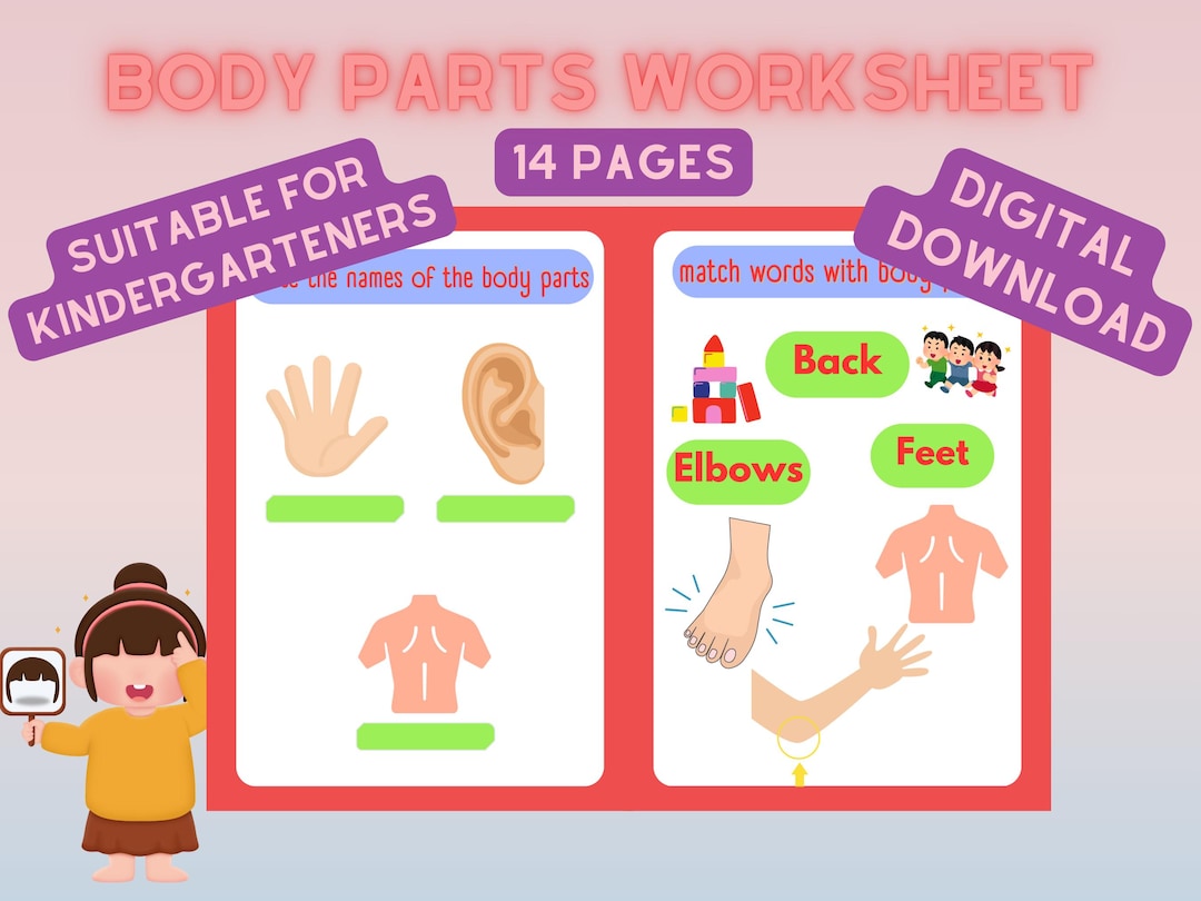 Body Parts Matching Activity Printable | Body Parts Printable ...