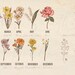 Birth Flower Bouquet digital Download Only - Etsy