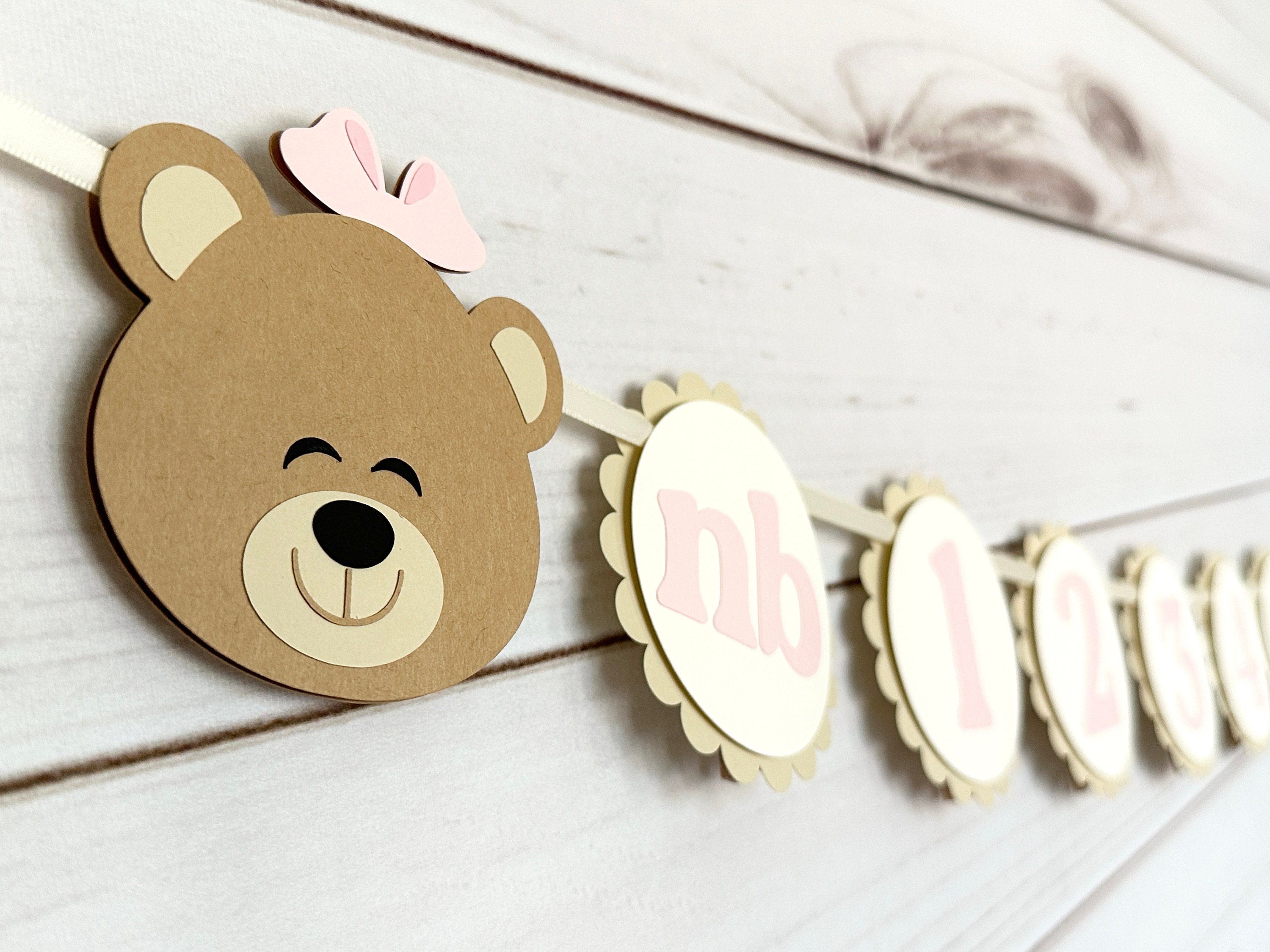 Teddy Bear Monthly Photo Banner Teddy Bear Milestone Banner - Etsy