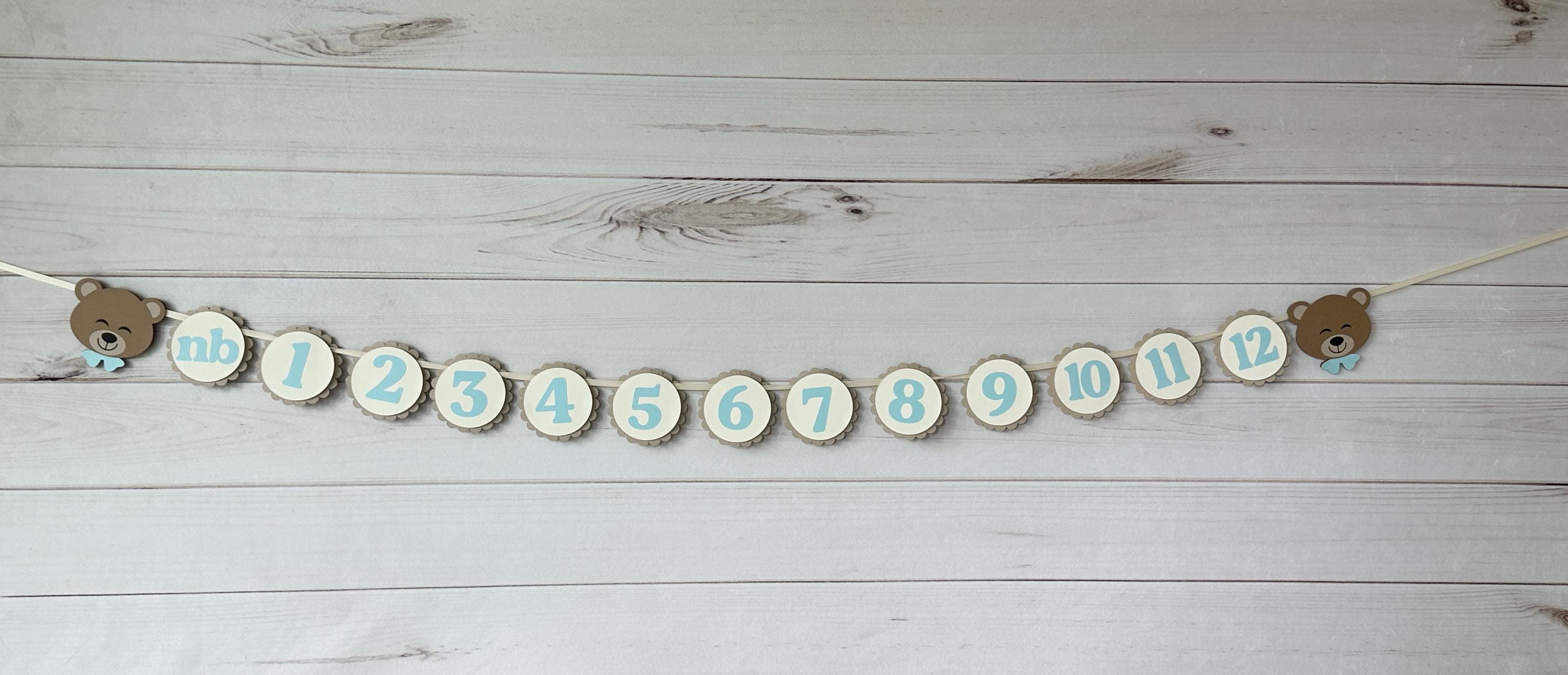 Teddy Bear Monthly Photo Banner Teddy Bear Milestone Banner First ...