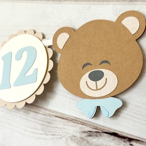 Teddy Bear Monthly Photo Banner Teddy Bear Milestone Banner First ...