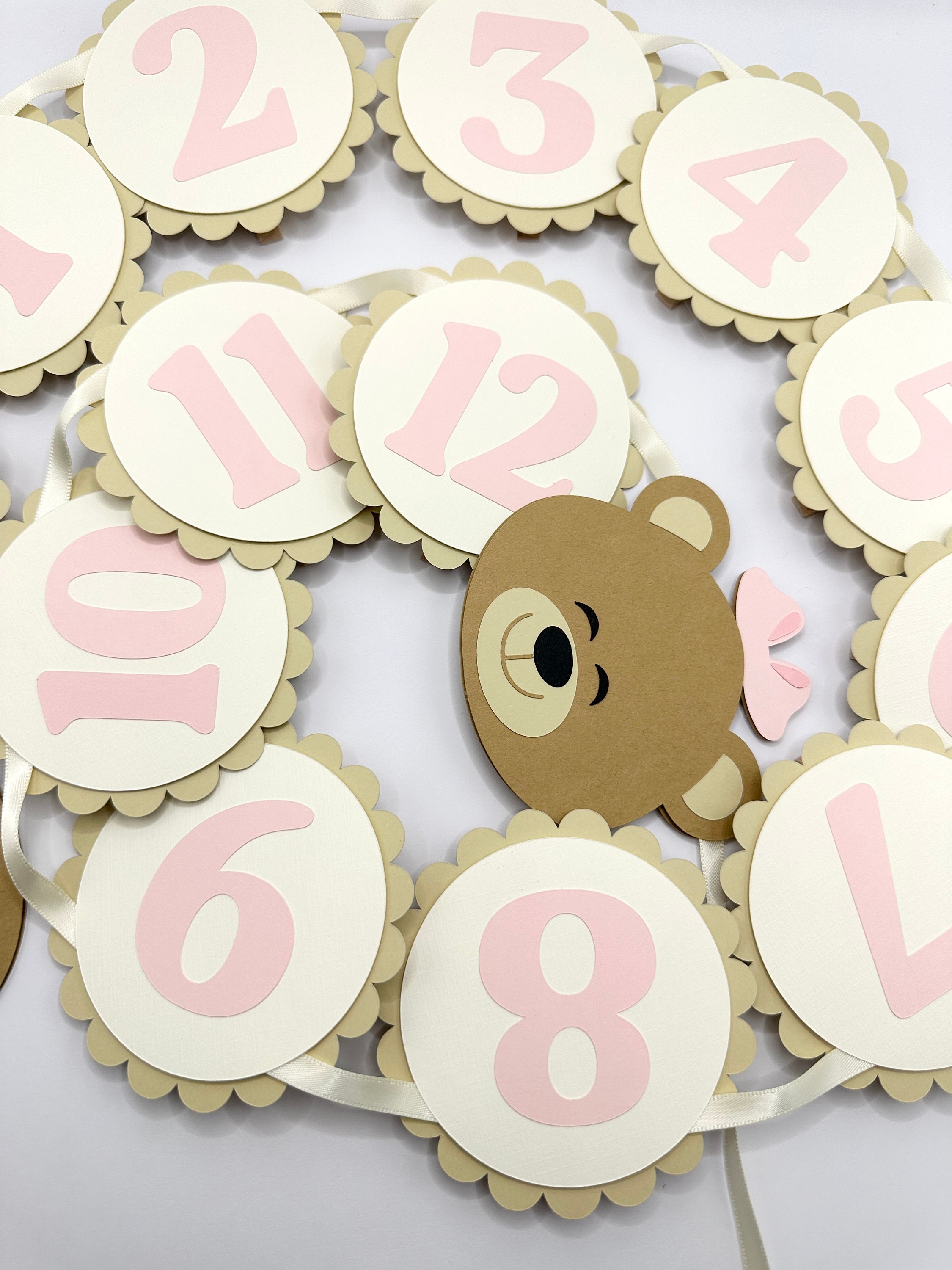 Teddy Bear Monthly Photo Banner Teddy Bear Milestone Banner - Etsy