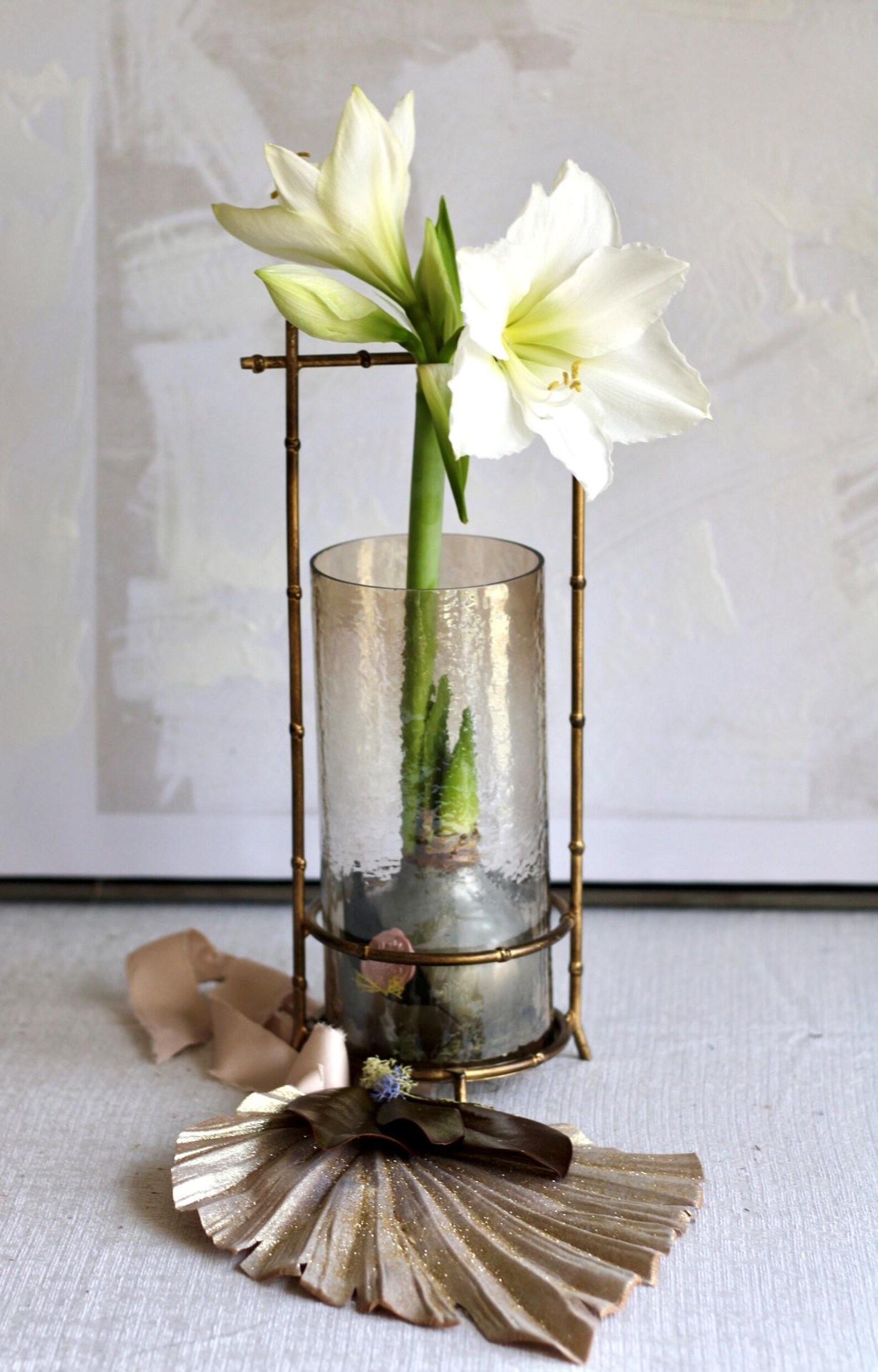 Holiday Amaryllis Gift Set- Gold Waxed Amaryllis-live Plant-blooming ...