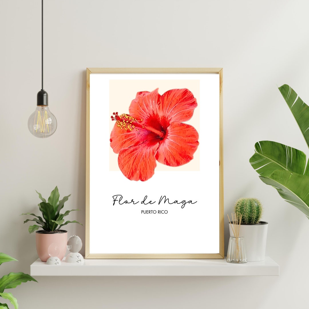 Flor De Maga Print - Printable Wall Art, Puerto Rico National Flower ...