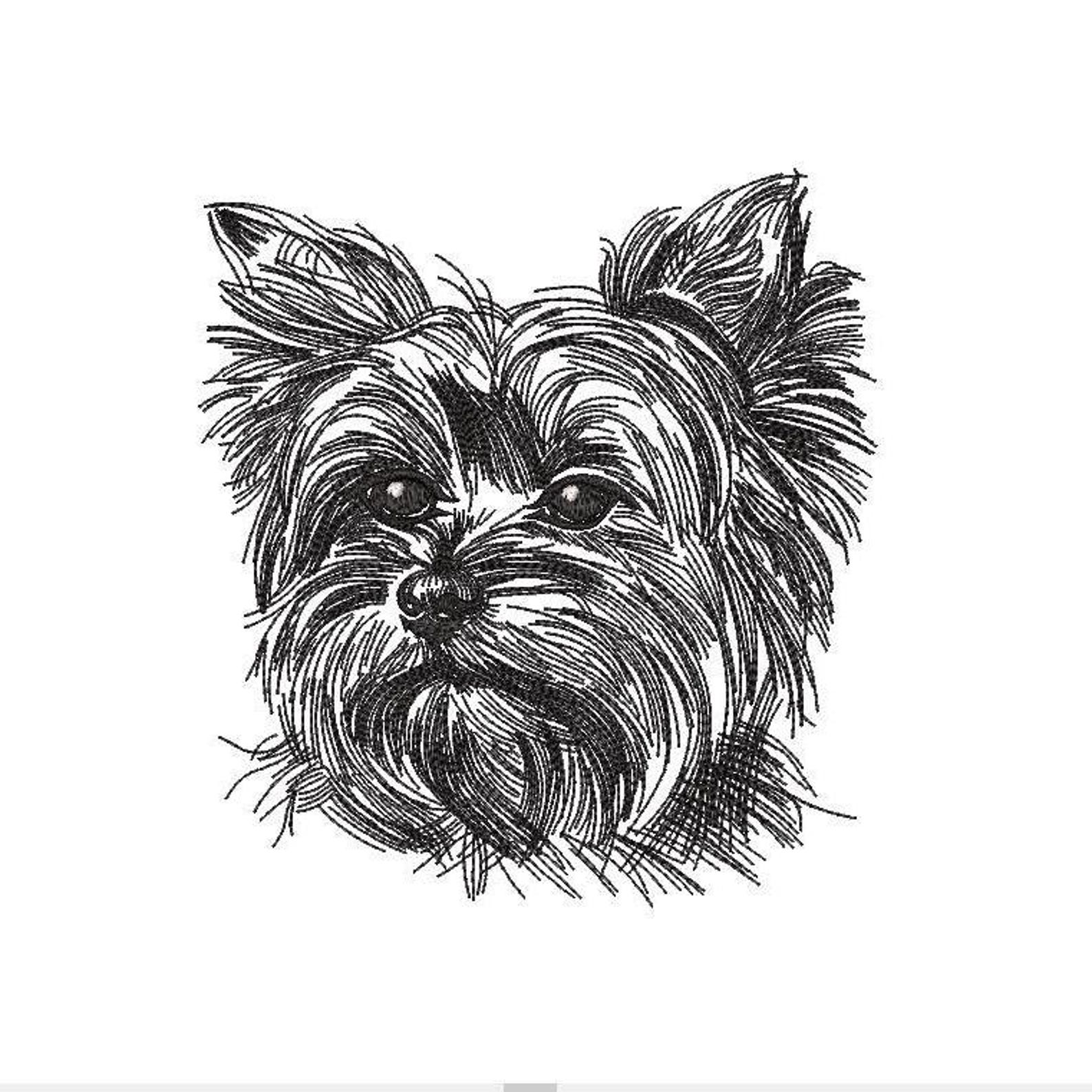 Yorkshire Terrier Face Machine Embroidery Design (instant Download) - Etsy