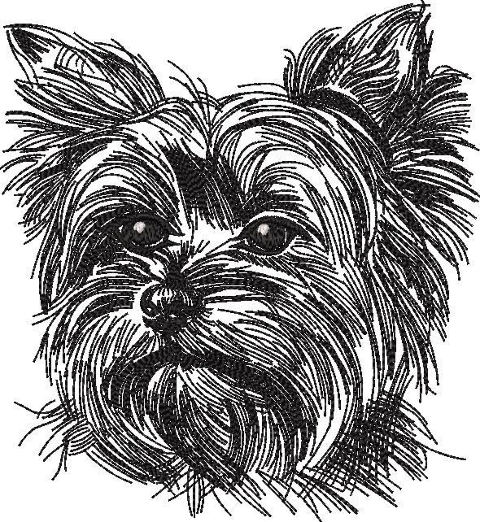 Yorkshire Terrier Face Machine Embroidery Design (instant Download) - Etsy