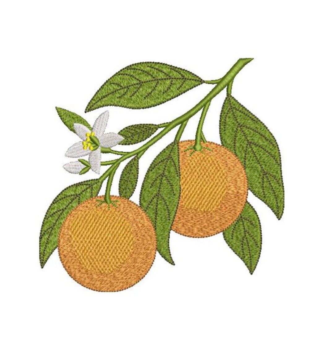 Orange Blossoms Machine Embroidery Design: Kitchen Fruit Branch (8 ...