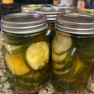 Big Deal Pickles - Etsy