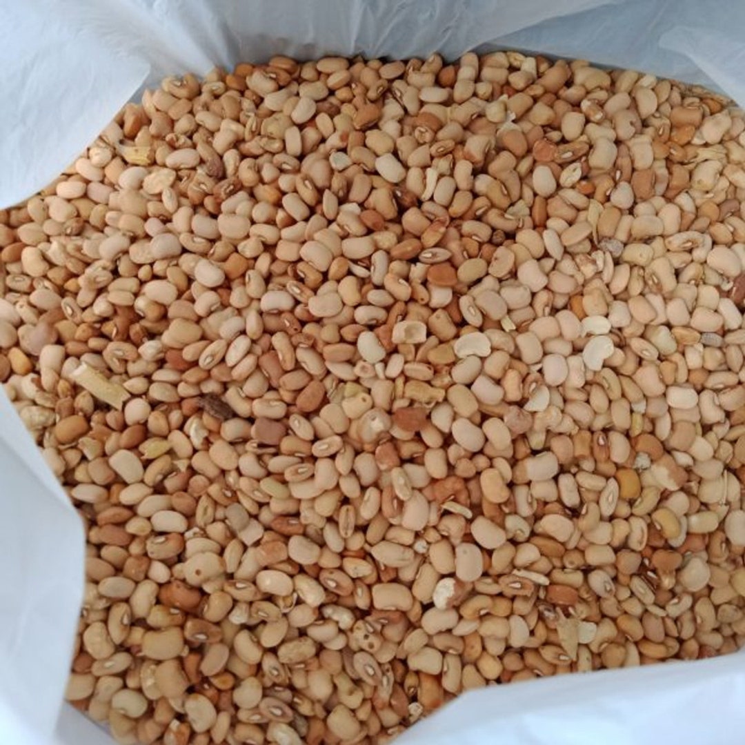 BROWN BEANS Ewa OLOYIN Honey Beans Organic Nigerian - Etsy