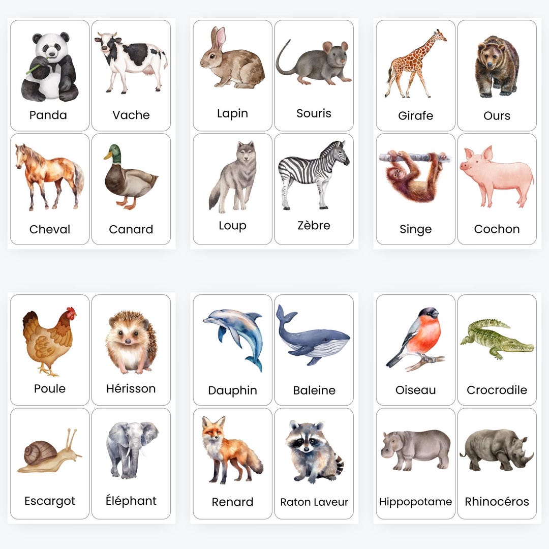 FRENCH - Printable Vocabulary Cards - Etsy