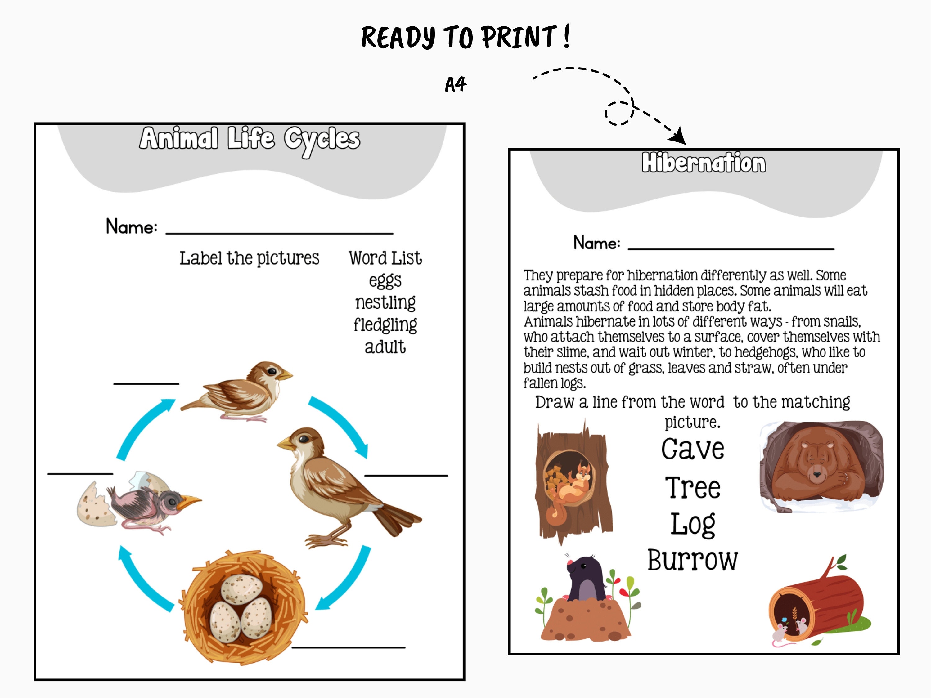 Kid Book Science Pages Kid Worksheet Science Bundle Kid Activity ...