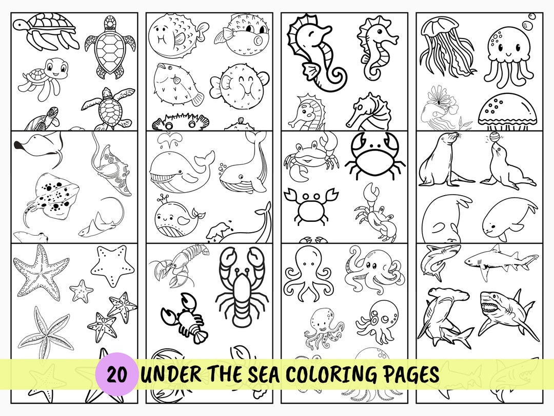 Sea Color Pages Ocean Color Animal Pack Printable Color Toddler Page ...