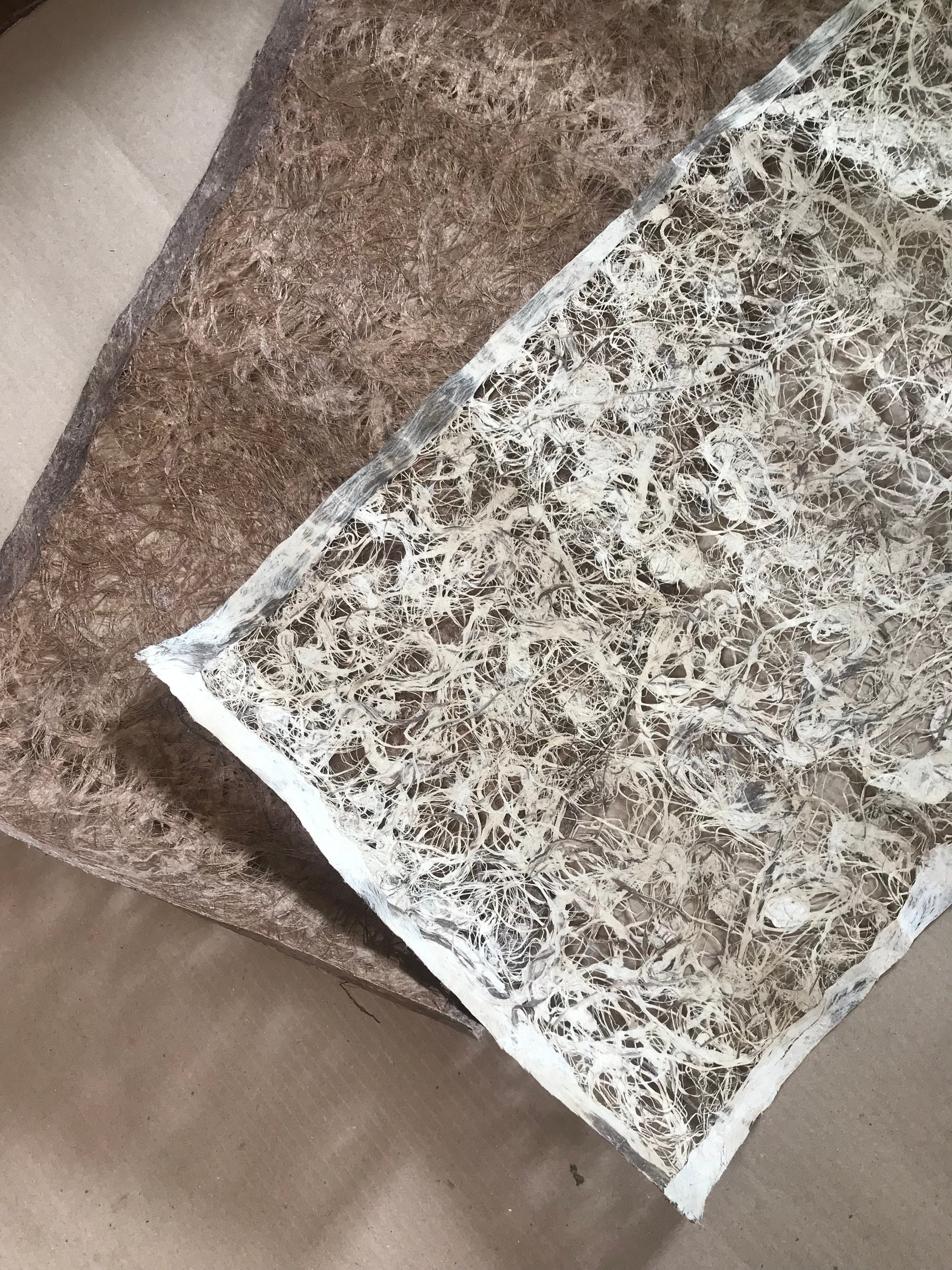 Love Paper. Tree Bark Art From Mexico. Wall Hanging Art. Vegetable ...