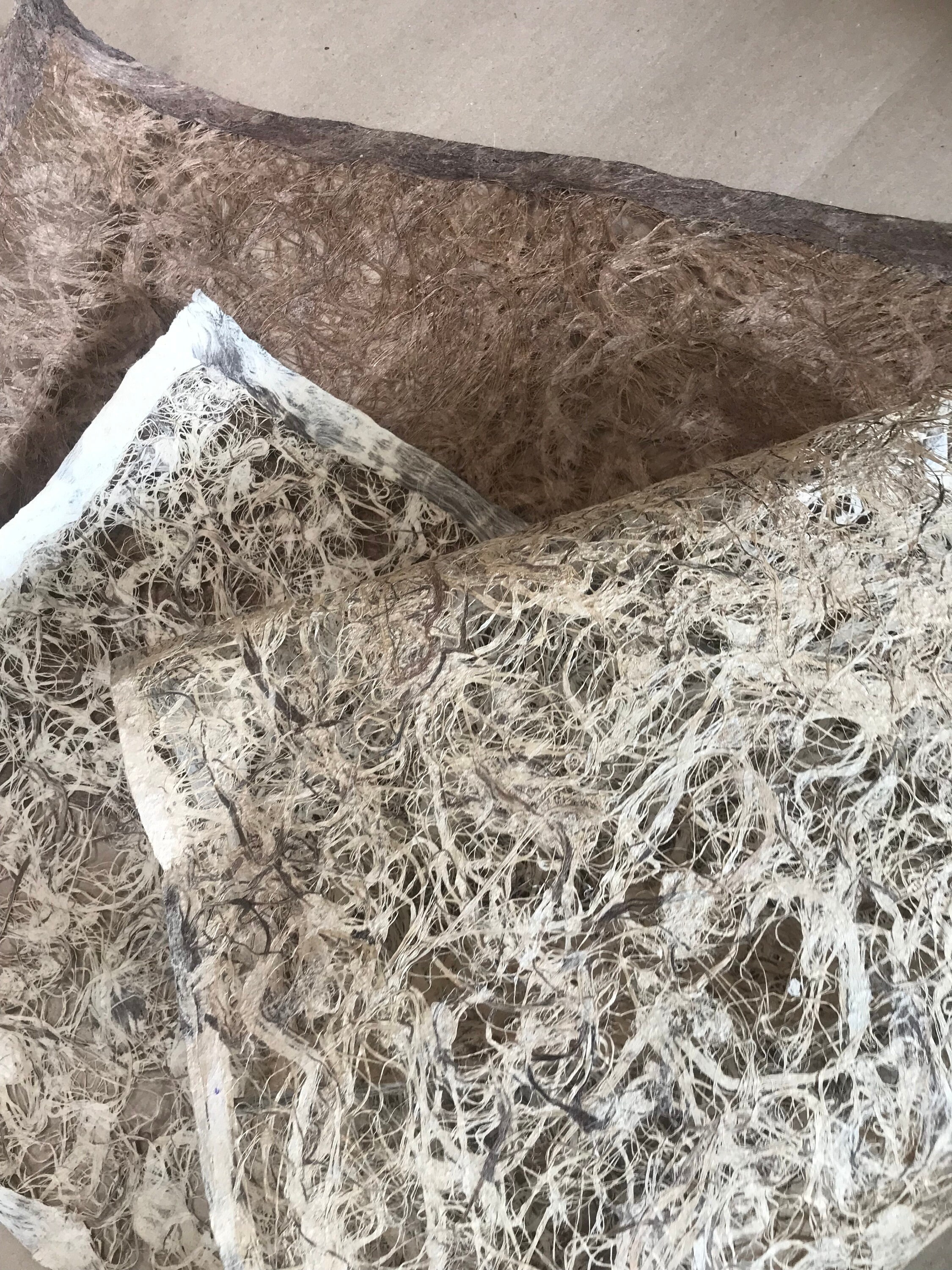 Love Paper. Tree Bark Art From Mexico. Wall Hanging Art. Vegetable ...