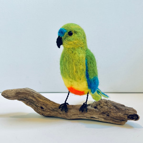 Needle Felted Parrot - Etsy