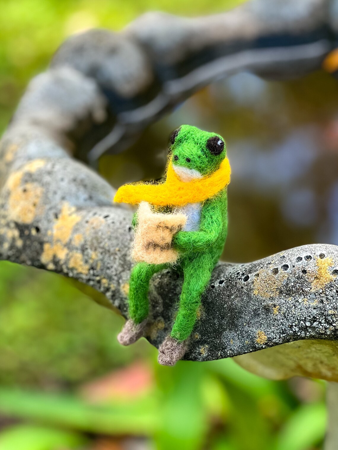 Needle Felted Custom Frog Portrait; Unique Gift; Handmade; Felted ...