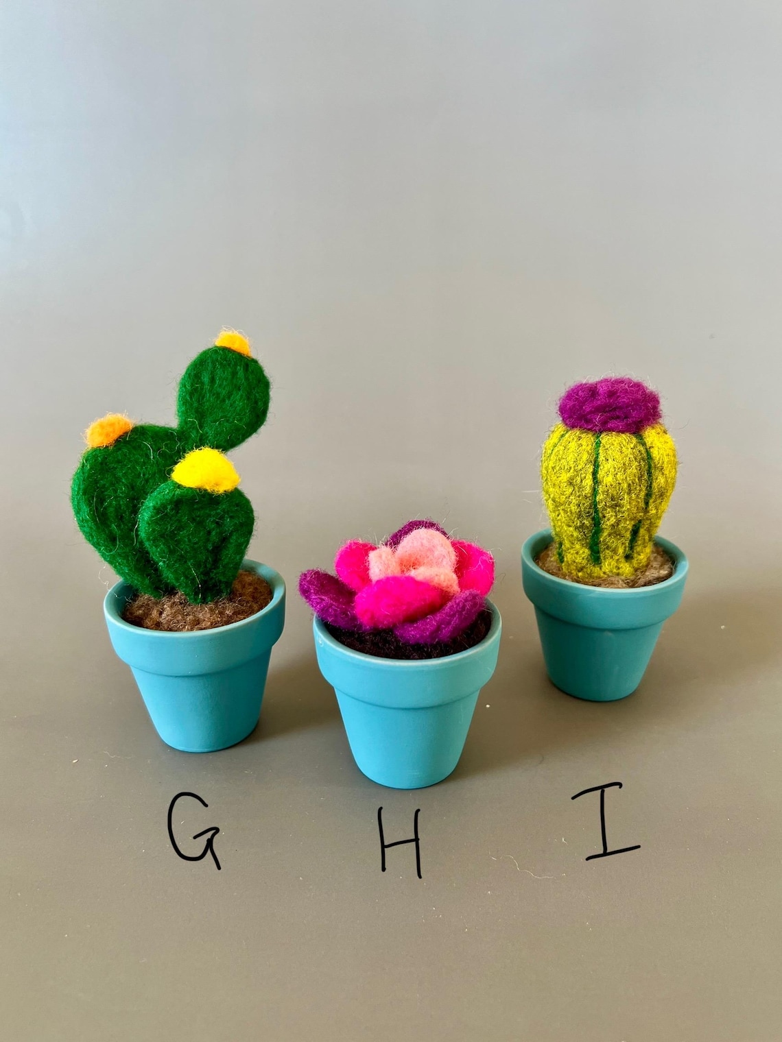 Needle Felted Wool Cactus; Cactus Decoration; Cacti; Decor - Etsy