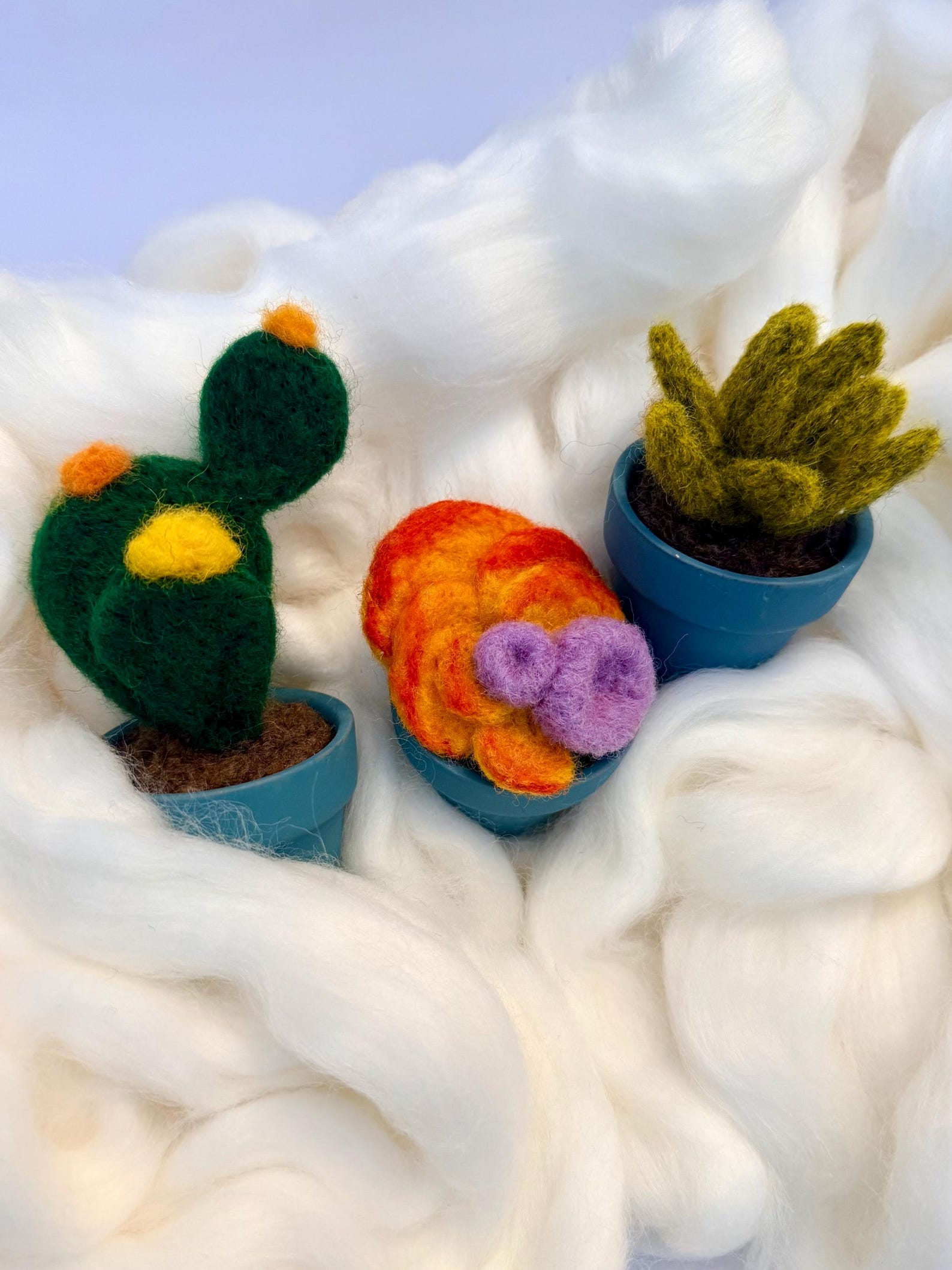 Needle Felted Wool Cactus; Cactus Decoration; Cacti; Decor - Etsy