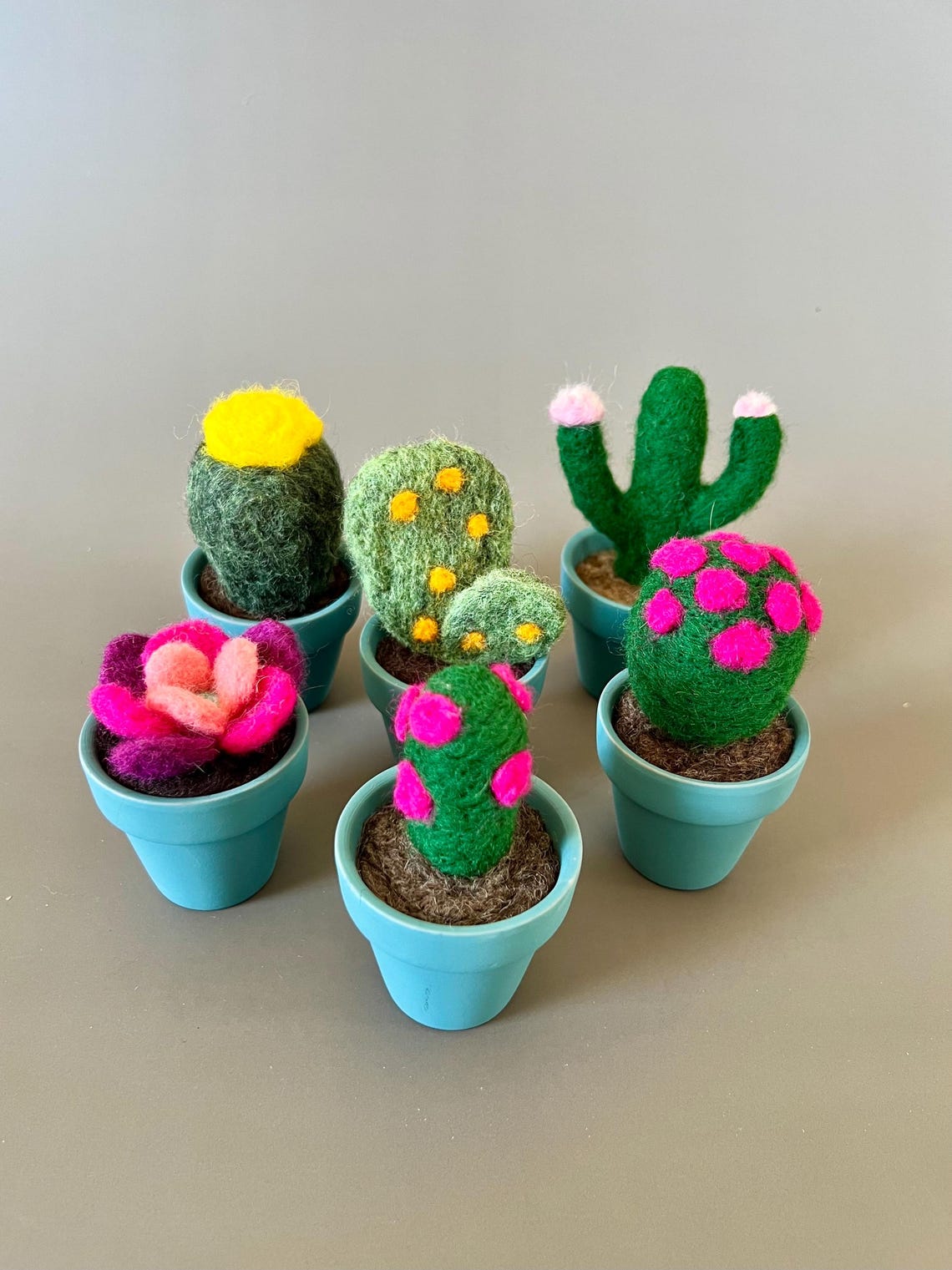 Needle Felted Wool Cactus; Cactus Decoration; Cacti; Decor - Etsy