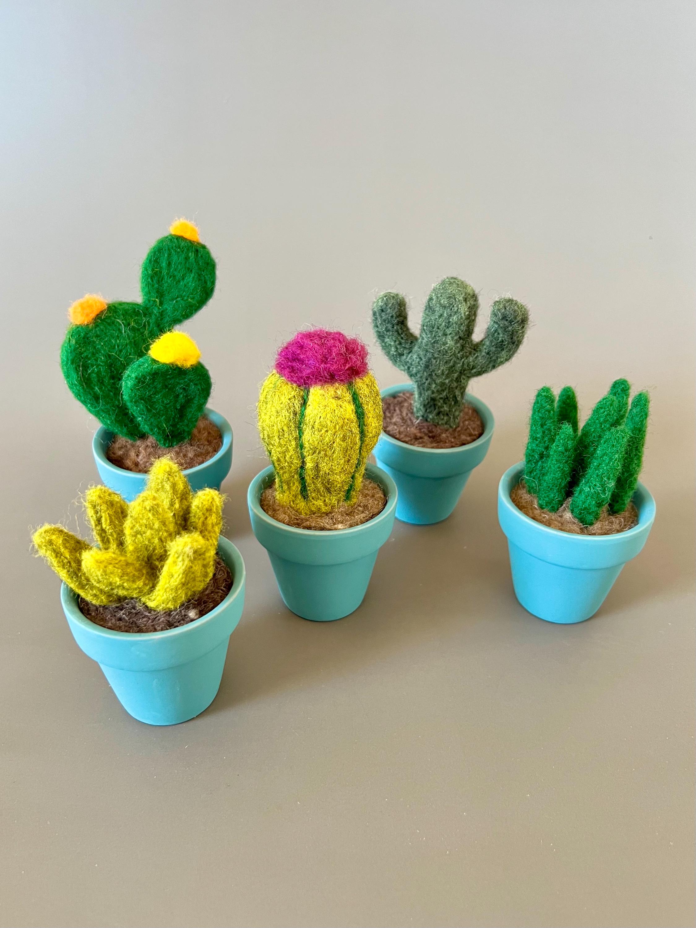 Needle Felted Wool Cactus; Cactus Decoration; Cacti; Decor - Etsy