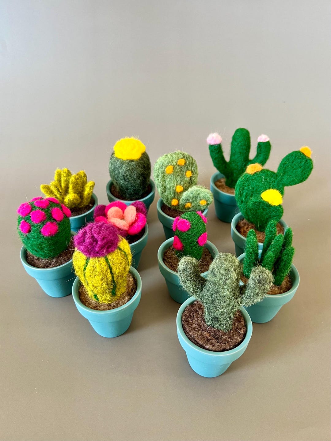 Needle Felted Wool Cactus; Cactus Decoration; Cacti; Decor - Etsy