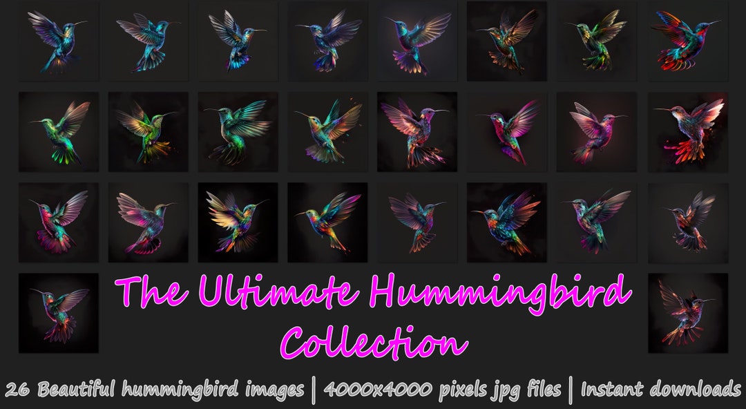 The Ultimate Hummingbird Collection Beautiful Hummingbird Art | Instant ...