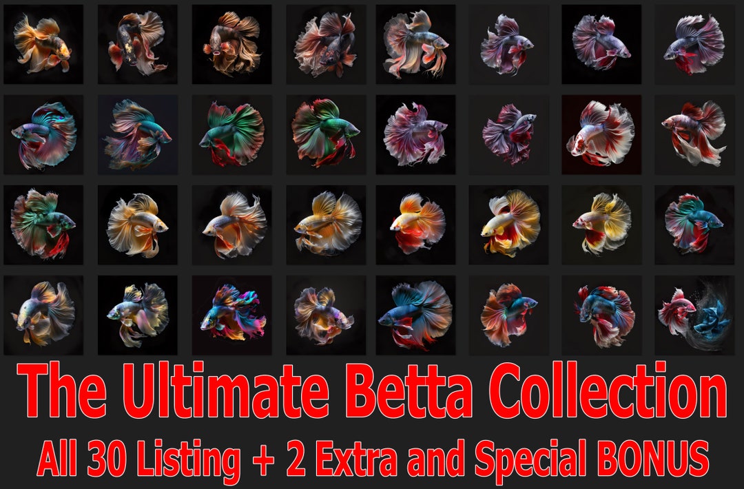 The Ultimate Betta Collection Beautiful Betta Art Including the ...