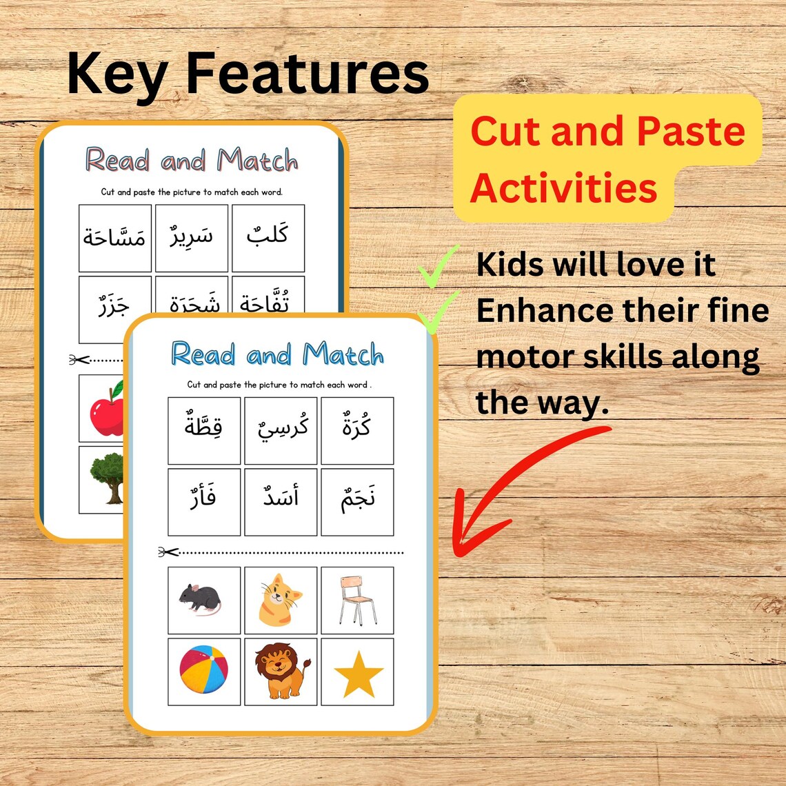 Arabic Read and Match Worksheet: Cut & Paste Activity (printable PDF ...