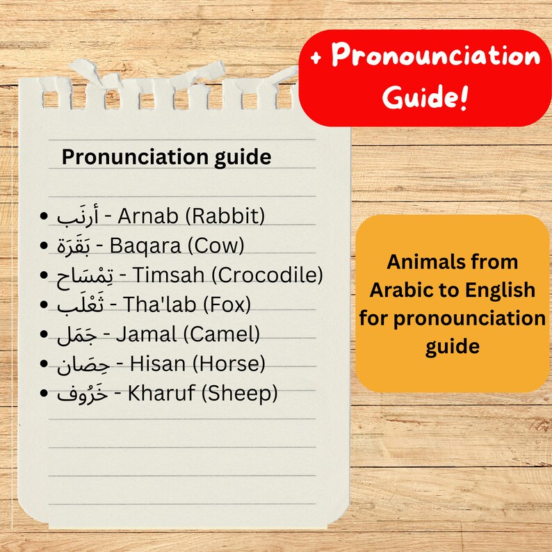 28 Learning Arabic Alphabet Animal Flashcards for Kids | Printable PDF ...